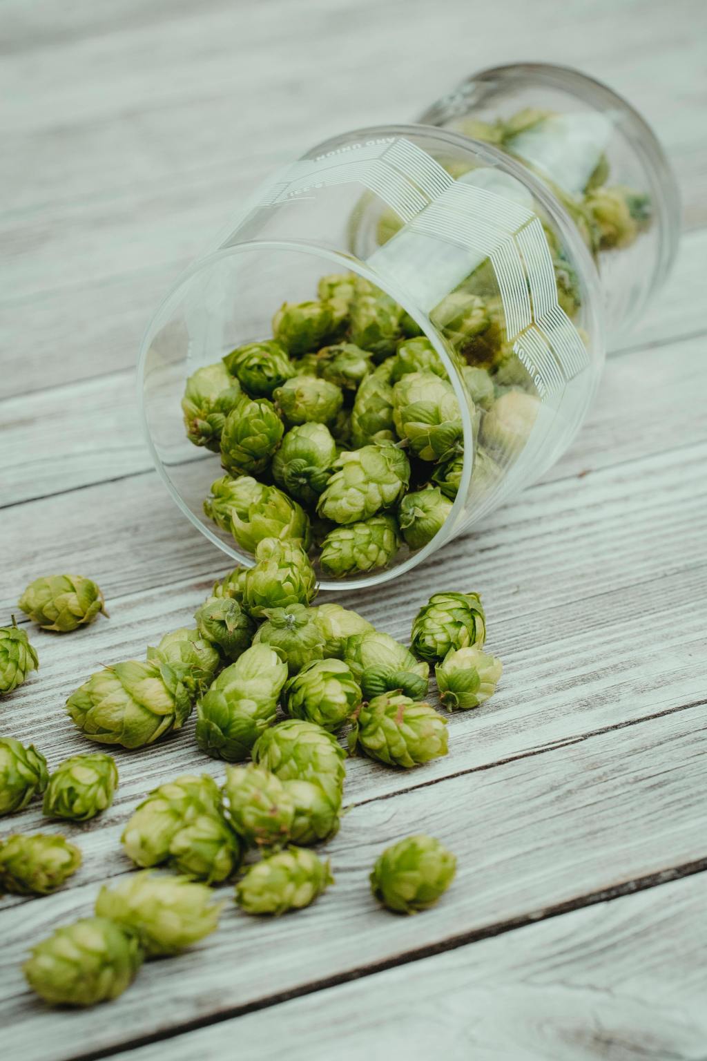 What are Simcoe hops and how are they unique in the brewing of craft ...